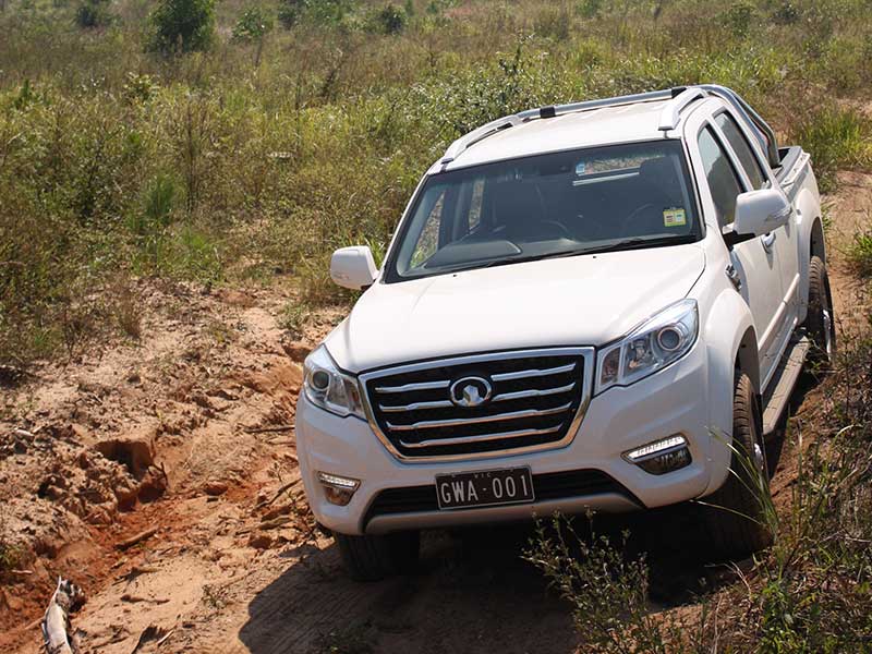 Great Wall Steed ute review